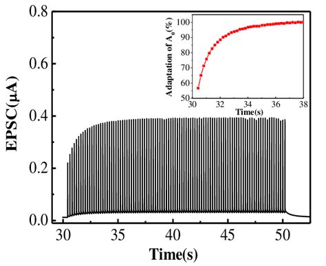 The Epsc Response Is Measured By Applying 100 Trains Of Pulses Download Scientific Diagram