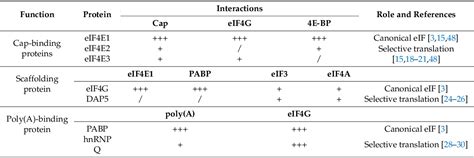 Table 2 From Translational Control Of Canonical And Non Canonical Translation Initiation Factors