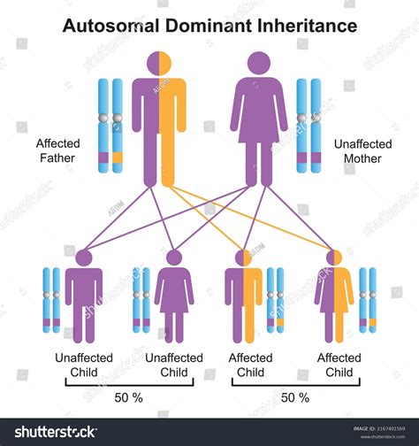 Autosomal Recessive Inheritance