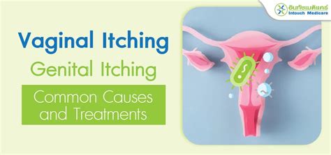 vaginal itching female genital itching Causes and treatments that girls ...