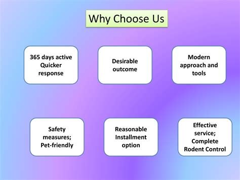 Ppt Rip Rodent Control Perth Powerpoint Presentation Free Download