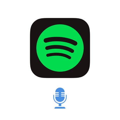 Spotify Pakket Direct Geleverd And Uitstekende Kwaliteit
