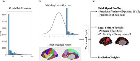 Estimating The Total Variance Explained By Whole Brain Imaging For Zero