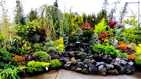 Conifer Design Ideas And Using Conifers In The Garden What Do You Mix