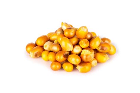 Premium Photo Popcorn Seed Isolated On White Background