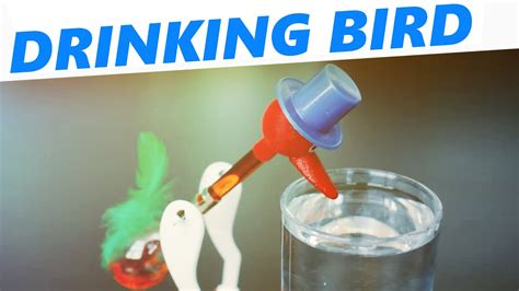 Antique Drinking Lucky Bird