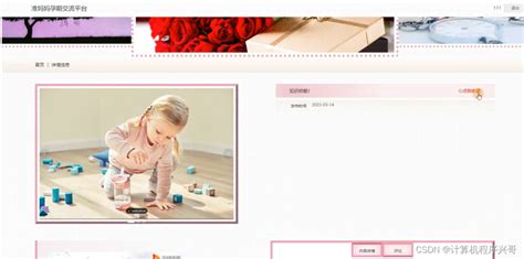 计算机毕业设计springboot准妈妈孕期交流平台hif1d9[附源码] csdn博客