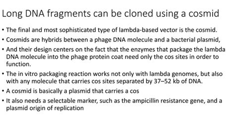 Lambda Cloning Vector Pptx