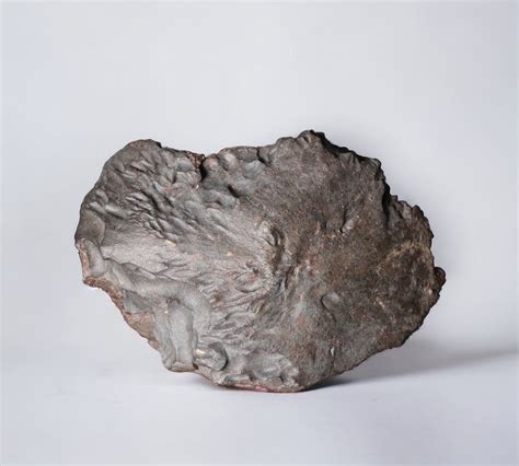 Oriented Meteorite With Flight Lines 247 Kg Fossil Realm