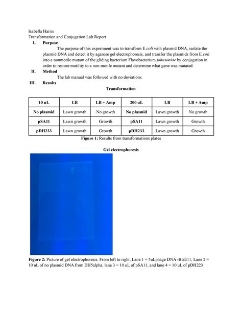 Transformation And Conjugation Lab Report Purpose The Purpose Of This Experiment Was To