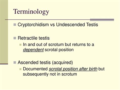 Ppt Testicular Descent And Ascent A Matter Of Timing Powerpoint Presentation Id 1407363