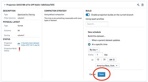 Optimizing And Debugging Pipelines Dataset Projections Set Up A