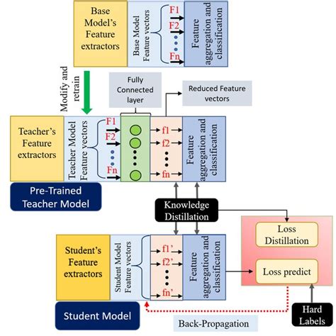 Schematic Representation Of The Proposed Knowledge Distillation