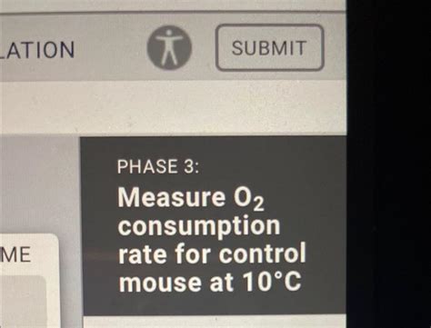 Phase 3 Measure O2 Consumption Rate For Control