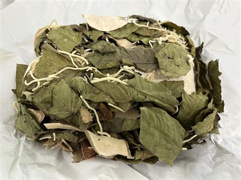 ยาสมุนไพร รักษาโรคตับแข็ง ตำรับยาพัทธะปิตตะ ผ่านการวิจัยทั้ง In Vitro Ex Vivo Clinical Trial