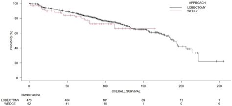 Difference Between Wedge Resection And Lobectomy At Irene Ahmed Blog