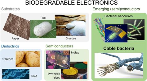 Frontiers Biomaterials And Electroactive Bacteria For Biodegradable Electronics