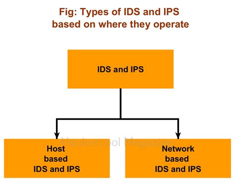Beginners Guide To Ids And Ips Hackercool Magazine