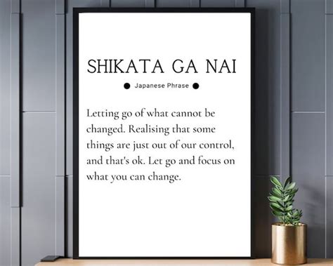 shikata ga nai acceptance and letting go