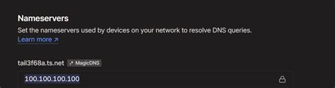 tailscale with pfsense exit node no dns netgate forum