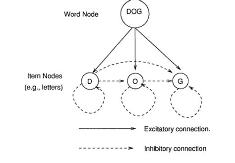 Perception Action And Cognition Sequencing Flashcards Quizlet