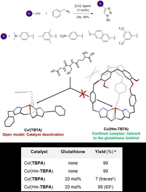 Typical Cuaac Reactions Catalysed By Cu I Hm Tbta With Quantitative