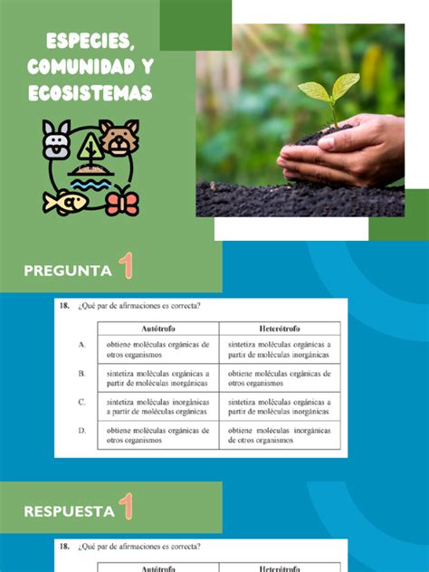 Preguntas De Especies Comunidad Y Ecosistemas Pdf Organismos