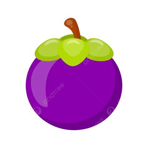 Fresh Mangosteen Sticker Image Vector Sticker Clipart Fresh