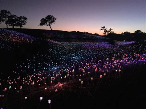 Artist Bruce Munros Field Of Light Stokes This Visit To Paso Robles
