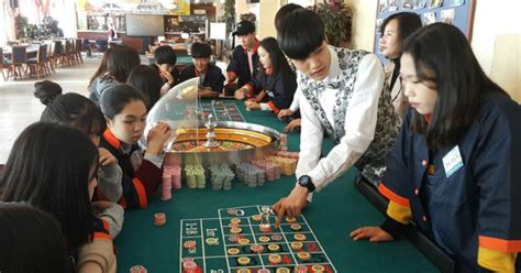 태백교육지원청 강원관광대 꿈바라기 진로체험 첫 단추