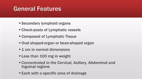 Lymph Node A Histologcal Overview Pptx Lymph Node A Histologcal Overview Pptx