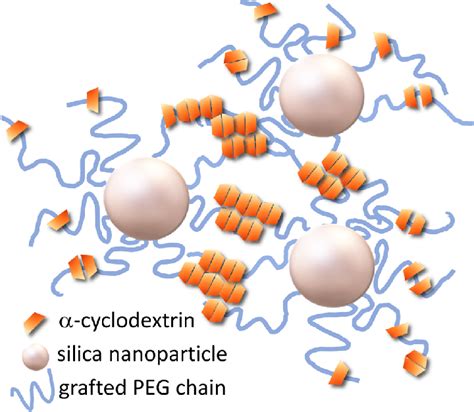 Examples Of Supramolecular Assembly At Paige Cremean Blog