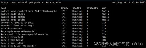 kubernetes集群（k8s）之安装部署calico 网络 calico安装 csdn博客