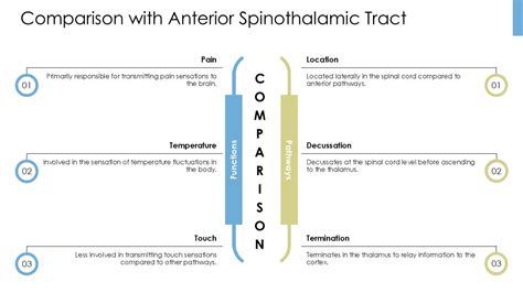 Lateral Spinothalamic Tract Mnemonic Ppt Designs Acp Ppt Example