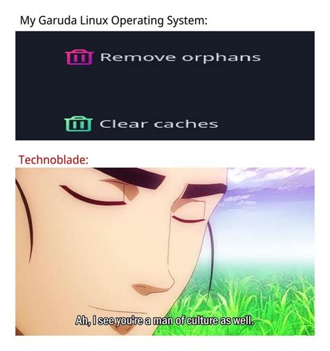 Pc Asking To Remove Orphans R Technoblade