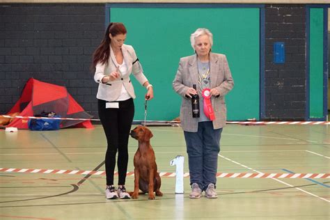 Clubshow Olten Imara Ya Furaha