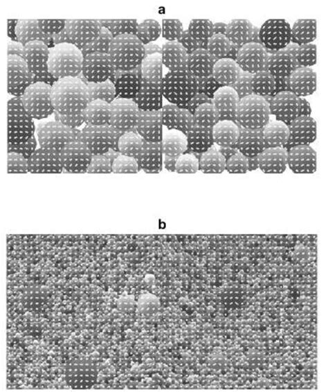 examples of gradient orientations calculated for a cell size of 8