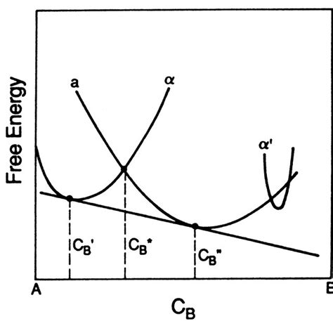 Free Energy Diagram Of A Hypothetic System 23 Download Scientific Diagram