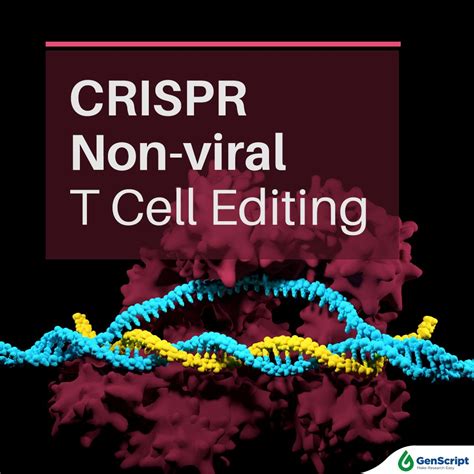 Carlo Roccio Posted On Linkedin