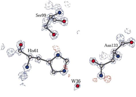 Figure 1 From The Structures Of Micrococcus Lysodeikticus Catalase Its Ferryl Intermediate