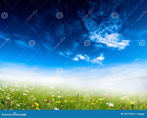 Cloudy Sky And Grass Stock Image Image Of Rural Season 10177053