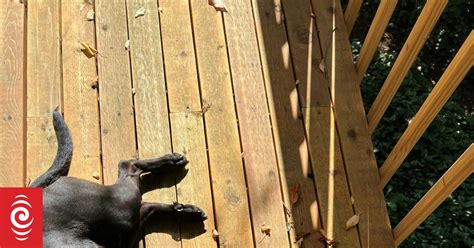 Prep Your Deck For Summer Fun In 2025 Franetic Marketing And