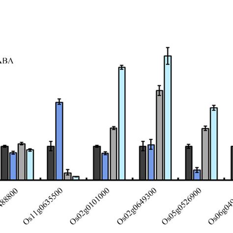 Validation Of Rna Seq Data By Quantitative Real Time Polymerase Chain