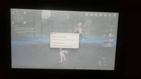 Game Keeps Crashingfreezing Rhonkaistarrail