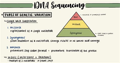 dna sequencing to diagnose single gene disorders