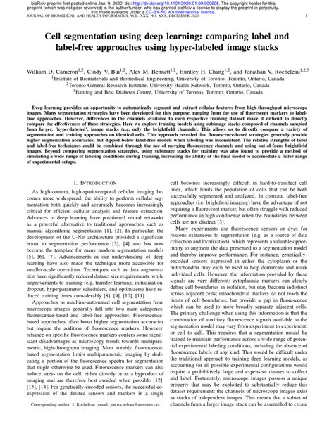 PDF Cell Segmentation Using Deep Learning Comparing Label And Label Free Approaches Using