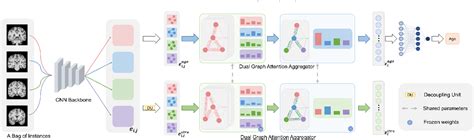 Dual Graph Attention Based Disentanglement Multiple Instance Learning For Brain Age Estimation
