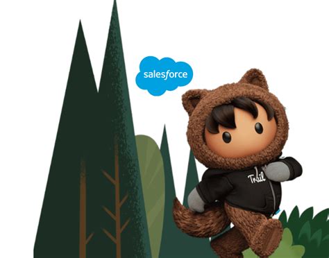 Salesforce Customer 360 Axxis Consulting