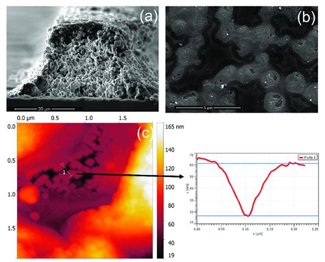 A Sem Image Of A Silver Finger Of The N Pert Solar Cell With A Width