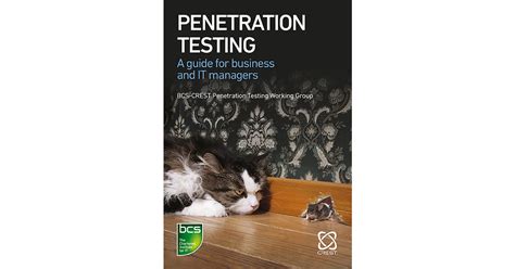 Penetration Testing Book